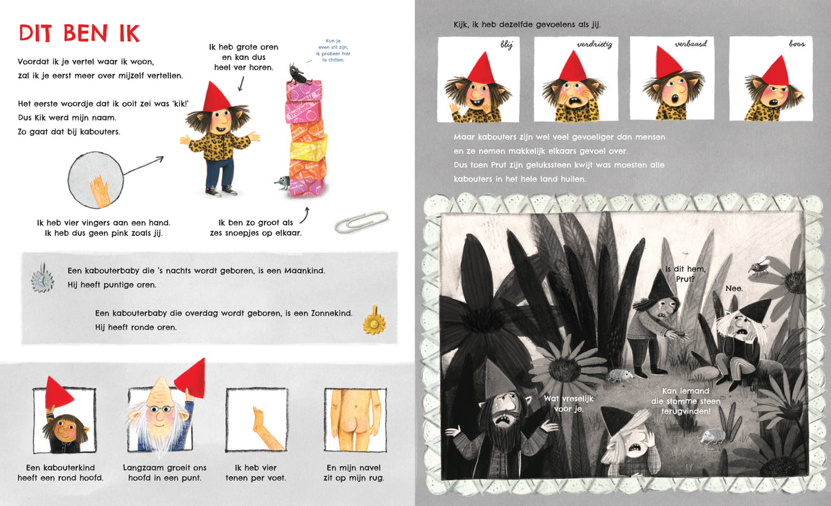 Het Kabouterboek – Loes Riphagen